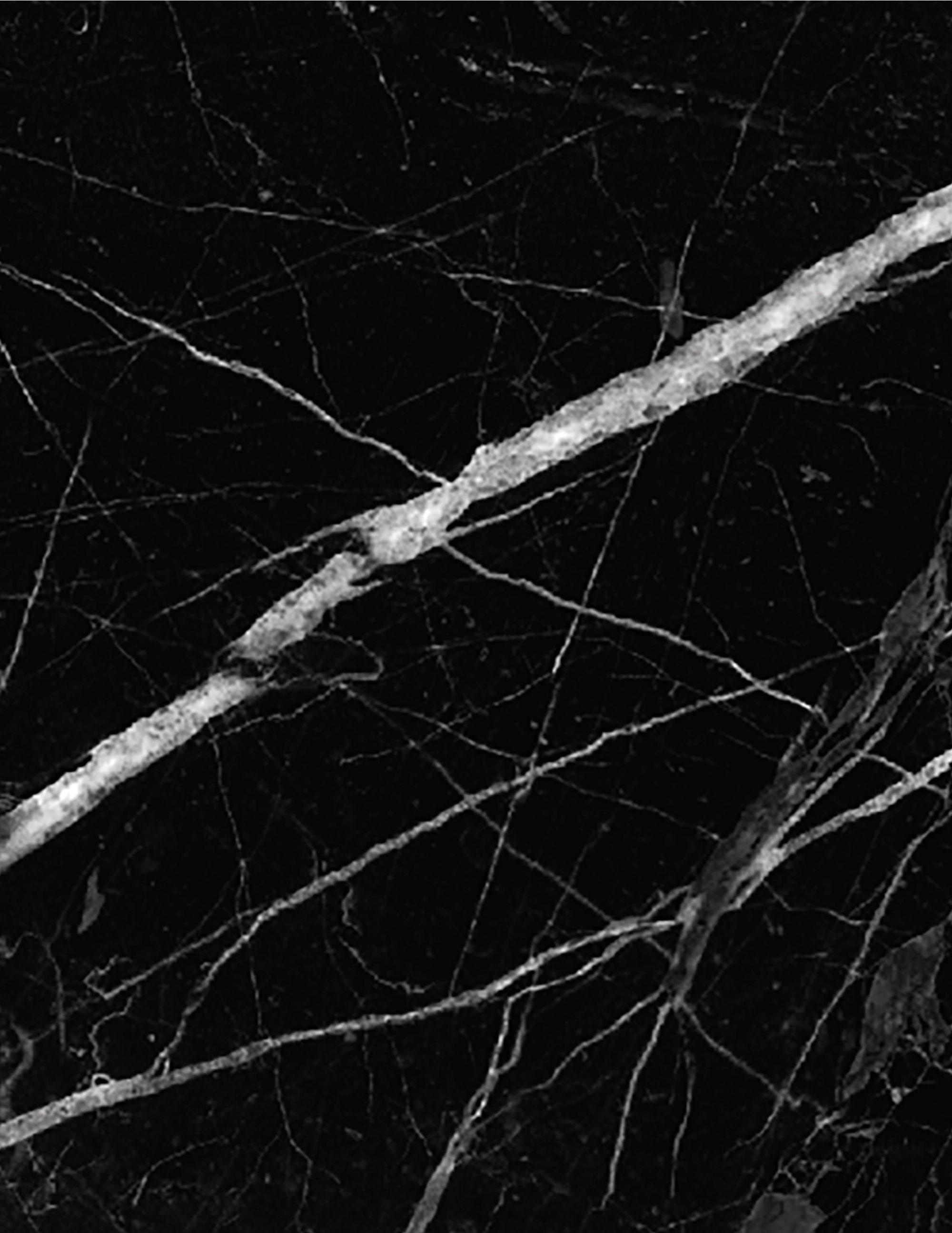 High Pressure Laminates - Lamitech